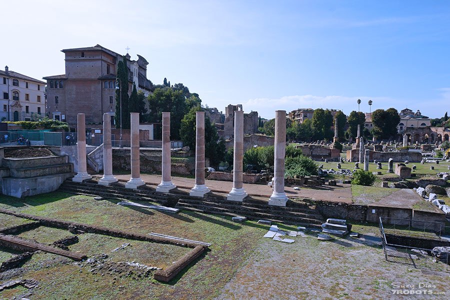 Roman Holiday The Forum and Trajan's Column. Photos by Suzy Dias