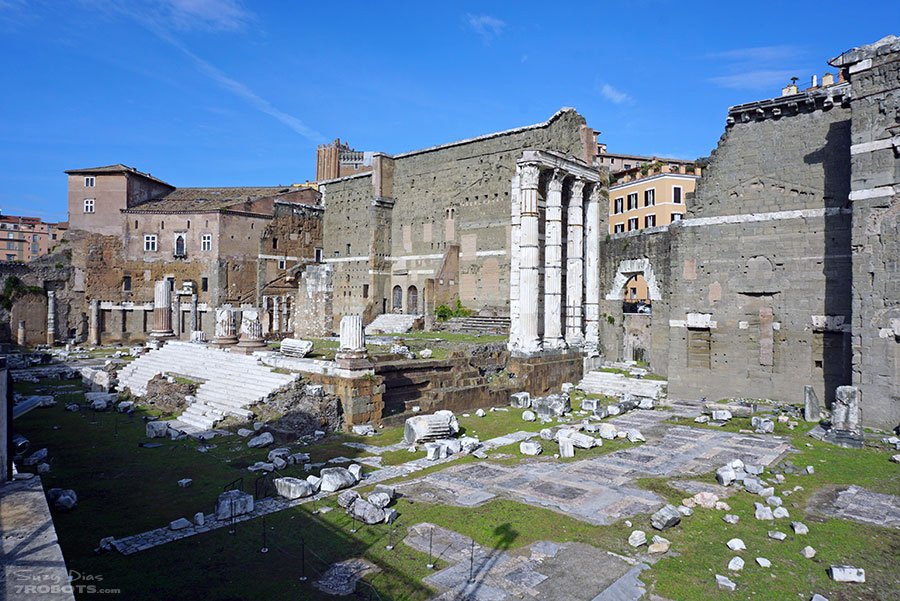 Roman Holiday The Forum and Trajan's Column. Photos by Suzy Dias